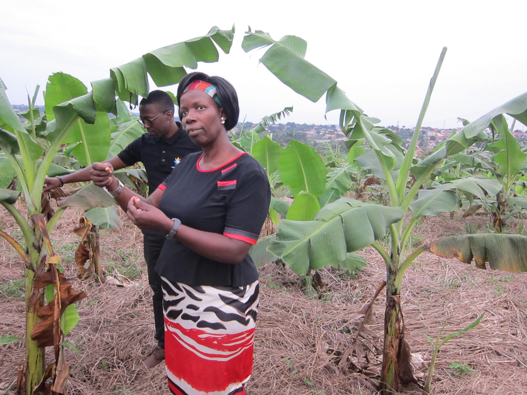 African women are leading biotechnology's advance across the continent ...