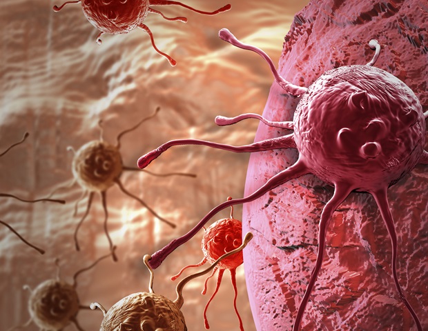 Lund researchers discover how E. coli bacteria target and degrade MYC ...