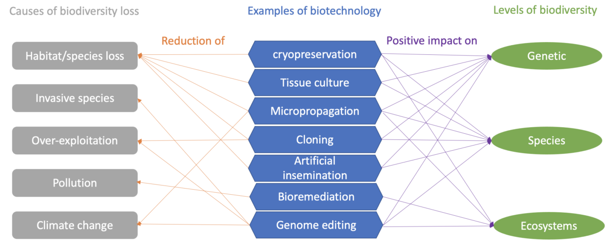 How biotech aids biodiversity - Alliance for Science - American Biotech ...