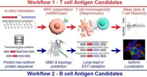 “SNAF” Computational Tool Identifies Splicing Neoantigen Targets for ...