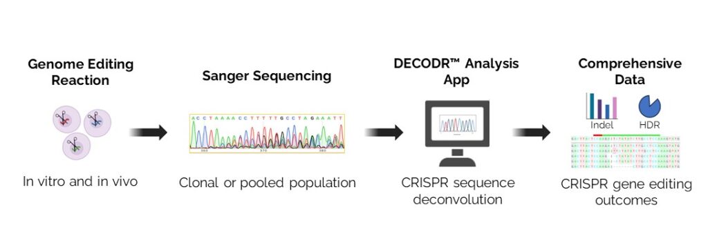 CRISPR Concerns Won’t Spoil Its Promise—If We Use the Right Tools ...