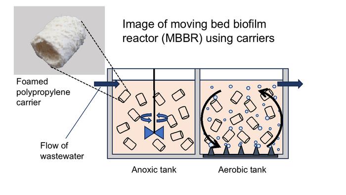 Spurring more biofilm growth for efficient wastewater treatment - American Biotech News